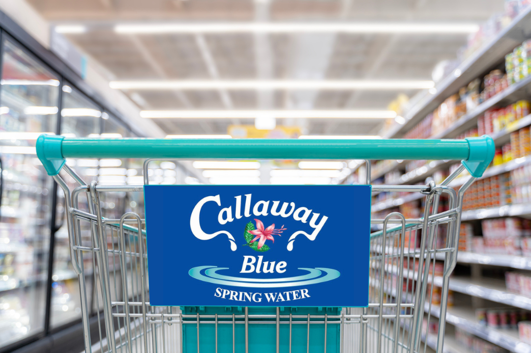Case Study: Callaway Blue Spring Water - Consumer Product (CPG ...